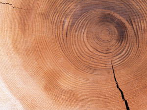 Rezana građa | Halo oglasi