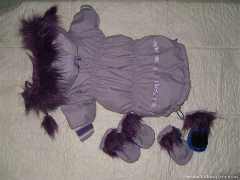 Jaknica za psa | Halo Oglasi