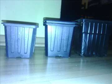 Posude za biljke | Halo oglasi