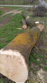 Rezana građa | Halo oglasi