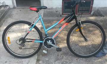 Bicikli | Halo oglasi