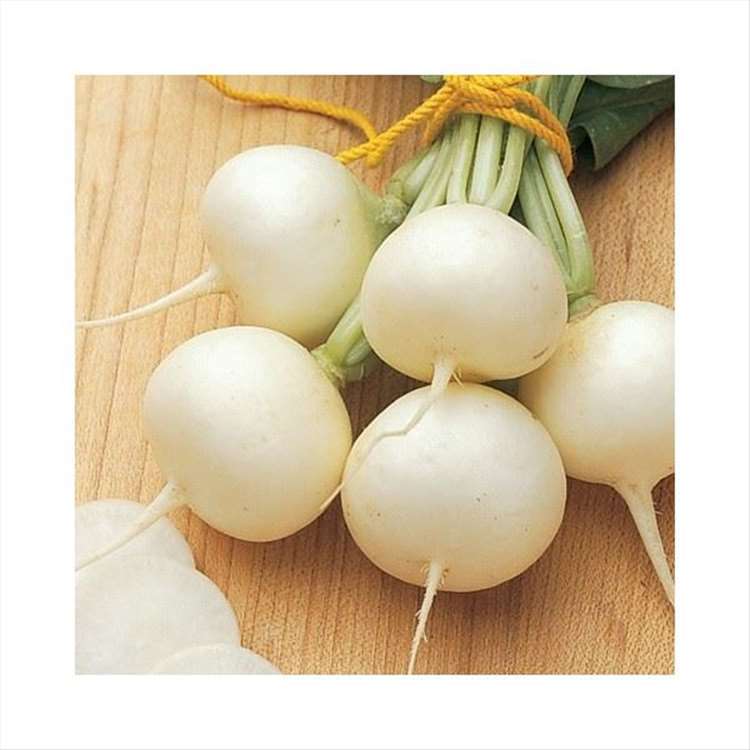 Rotkva zimska bela domaća organic | Halo Oglasi