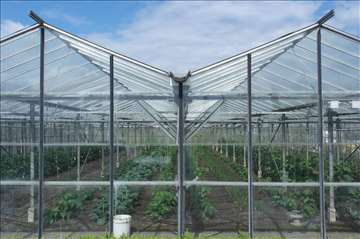 Plastenici, staklenici | Halo oglasi