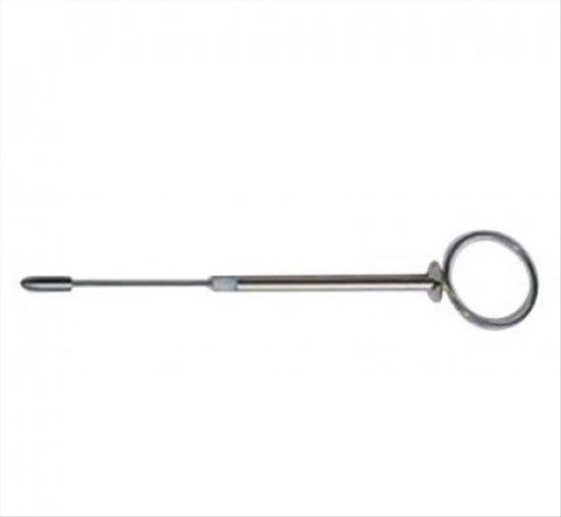 Sisna lanceta | Halo Oglasi