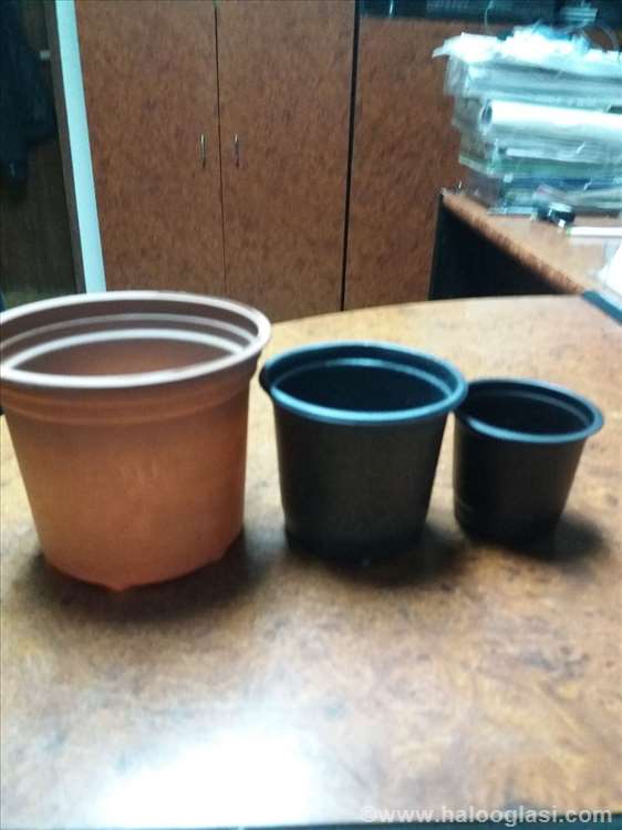 Saksije (čaše) za rasad-Rekordplast | Halo Oglasi