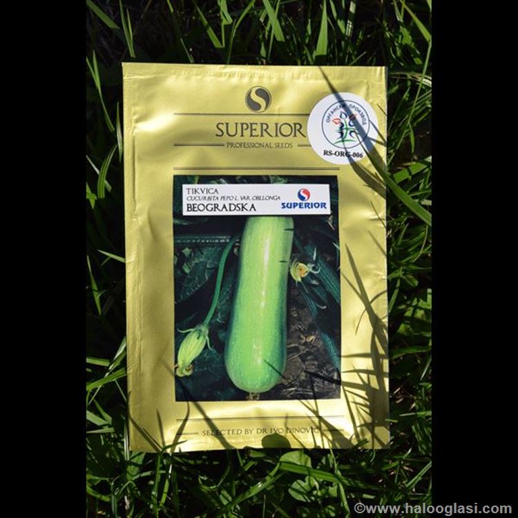 Organic seme Beogradska tikvica | Halo Oglasi