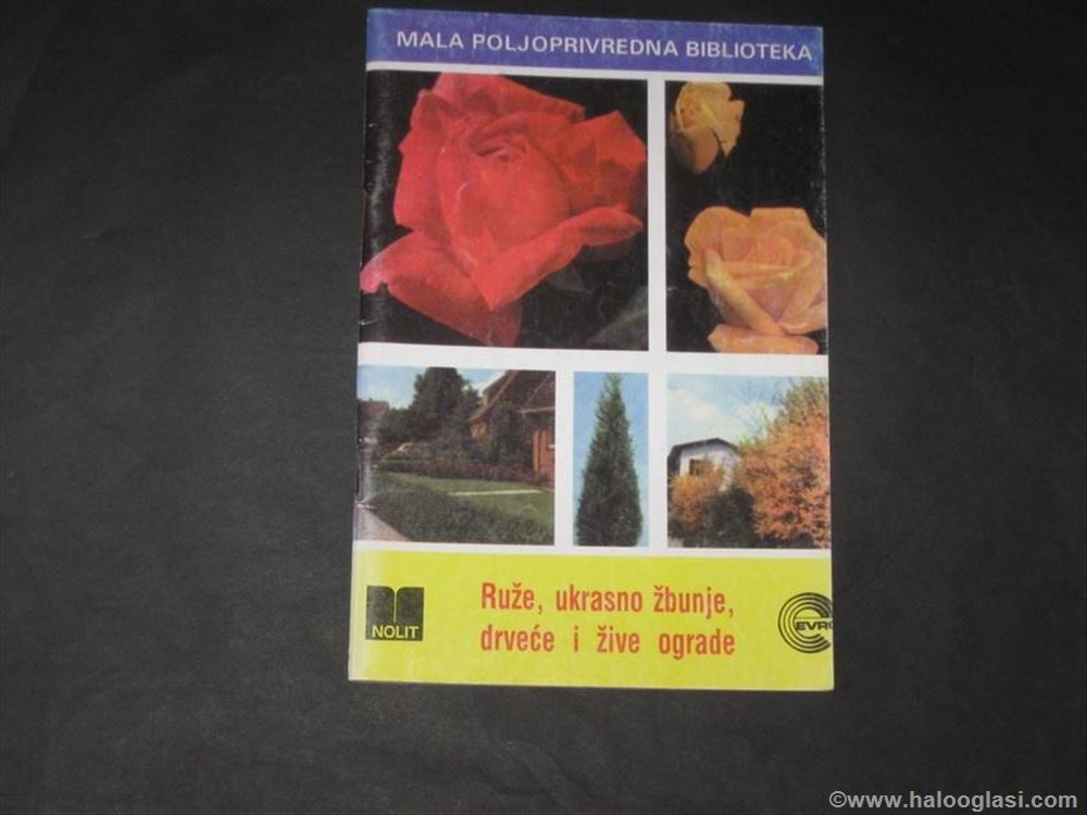 Ruže , ukrasno žbunje , drveće i žive | Halo Oglasi