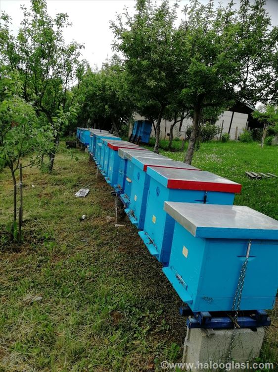 DB 10 o Rodna Voja | Halo Oglasi