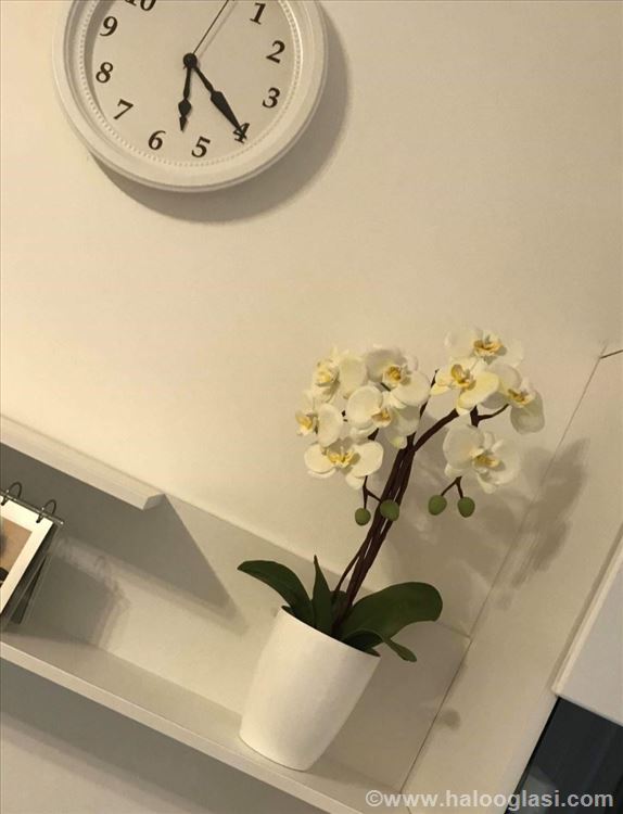 Orhideja veštačka od hladnog porcelana | Halo Oglasi