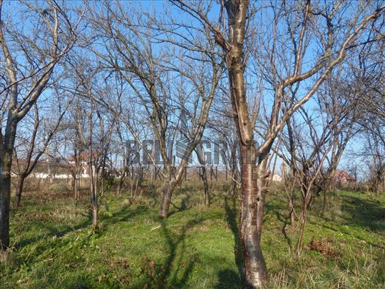 Prodaja zemljišta Surčin (mesto) | Halo oglasi