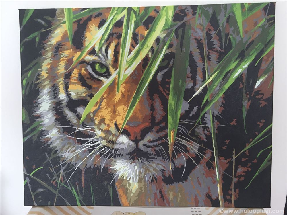 Slika “Tigar” | Halo Oglasi