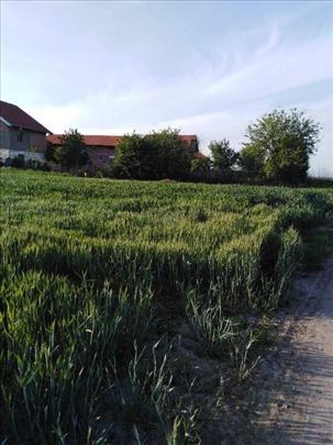 Prodaja zemljišta Borča | Halo oglasi nekretnine