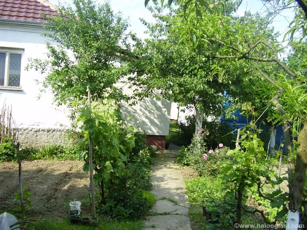 Mijatovac, Ćuprija | Halo Oglasi