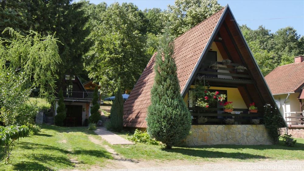 Vikendica na dan ˝Zvuk Tišine˝, Beočin, selo | Halo Oglasi
