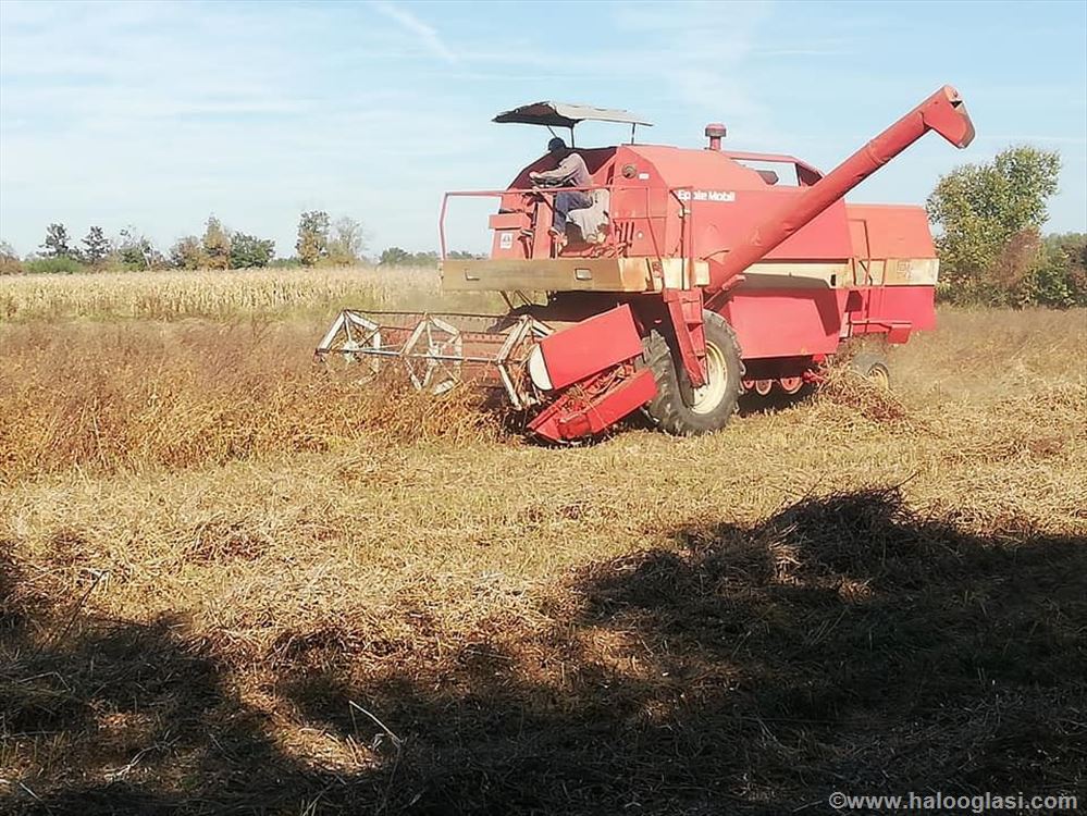 Eplle Mobil 1240 | Halo Oglasi