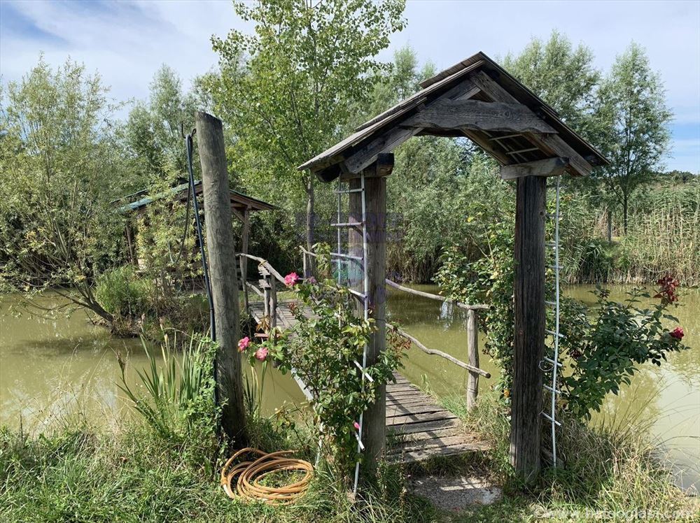 Žabalj, Vašarište, Kuća, 87m2 | Halo Oglasi