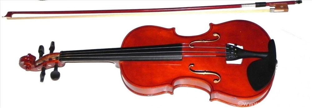 Violina velika - violina 4/4 | Halo Oglasi