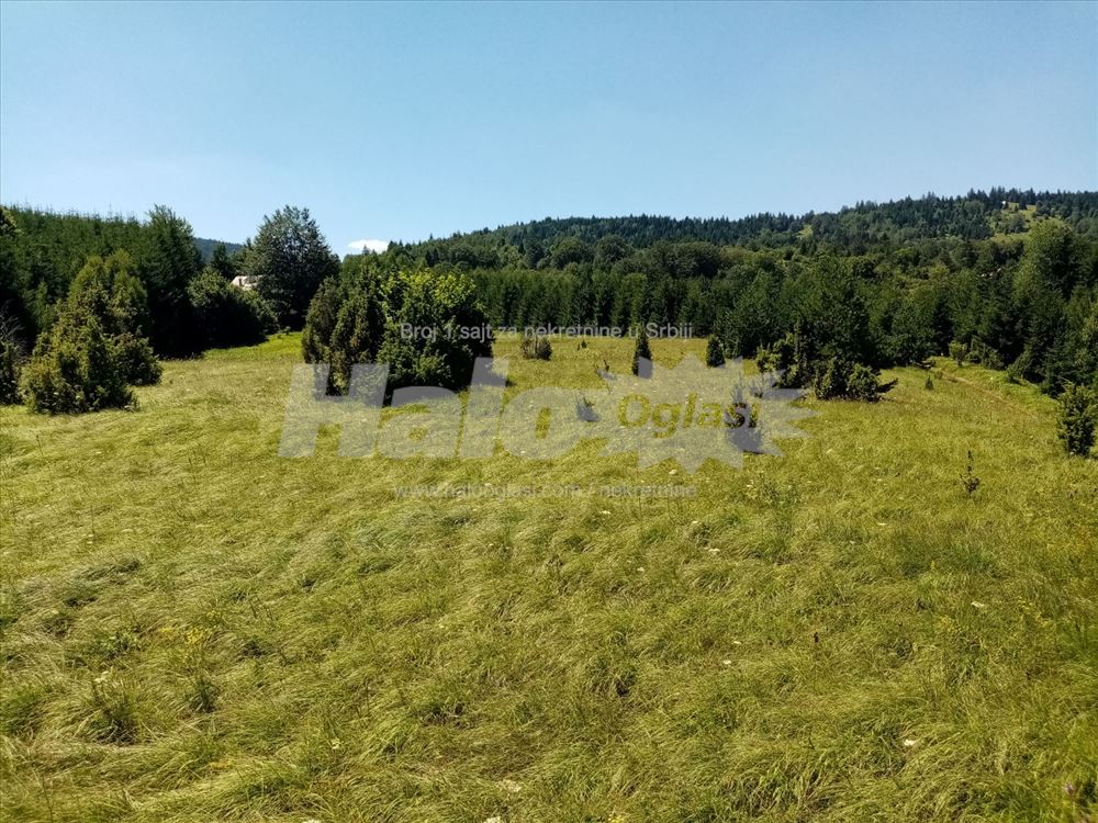 Tara Dobro Polje 64 ara | Halo Oglasi