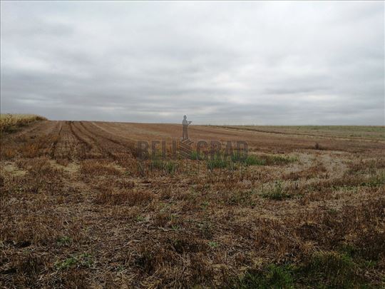 Prodaja zemljišta Surčin | Halo oglasi