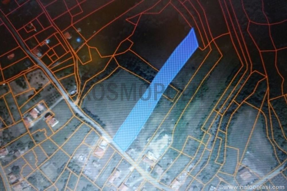 Beograd, Ripanj, Zemljište, 6107m2 | Halo Oglasi