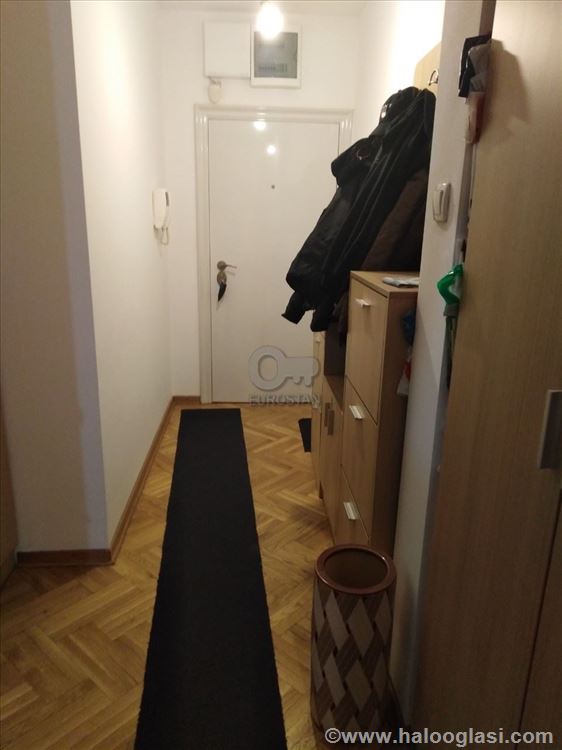 Đuke Dinić VUK Zvezdara Beograd Srbija | Halo Oglasi