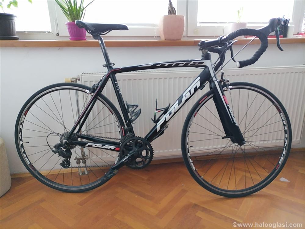 Polar furia | Halo Oglasi