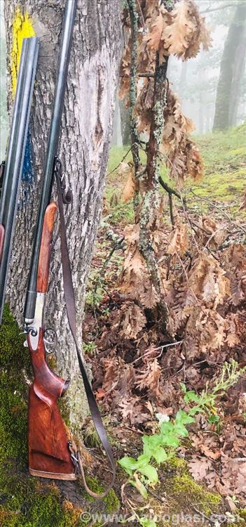 Dve lovacke puske | Halo Oglasi