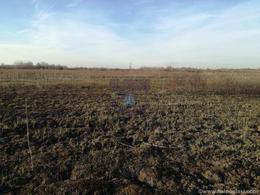 Futog, Izlaz iz Futoga (železnicka stanica), Zemlj | Halo Oglasi