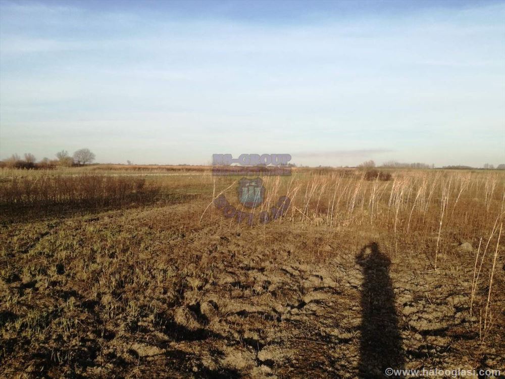 Futog, Izlaz iz Futoga (železnicka stanica), Zemlj | Halo Oglasi