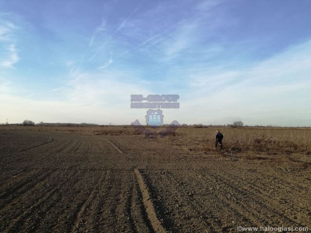 Futog, Izlaz iz Futoga (železnicka stanica), Zemlj | Halo Oglasi