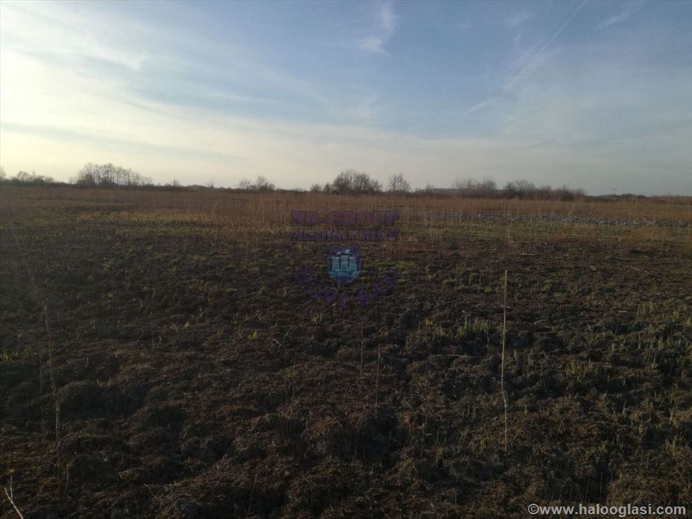 Futog, Izlaz iz Futoga (železnicka stanica), Zemlj | Halo Oglasi