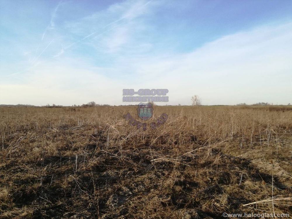 Futog, Izlaz iz Futoga (železnicka stanica), Zemlj | Halo Oglasi