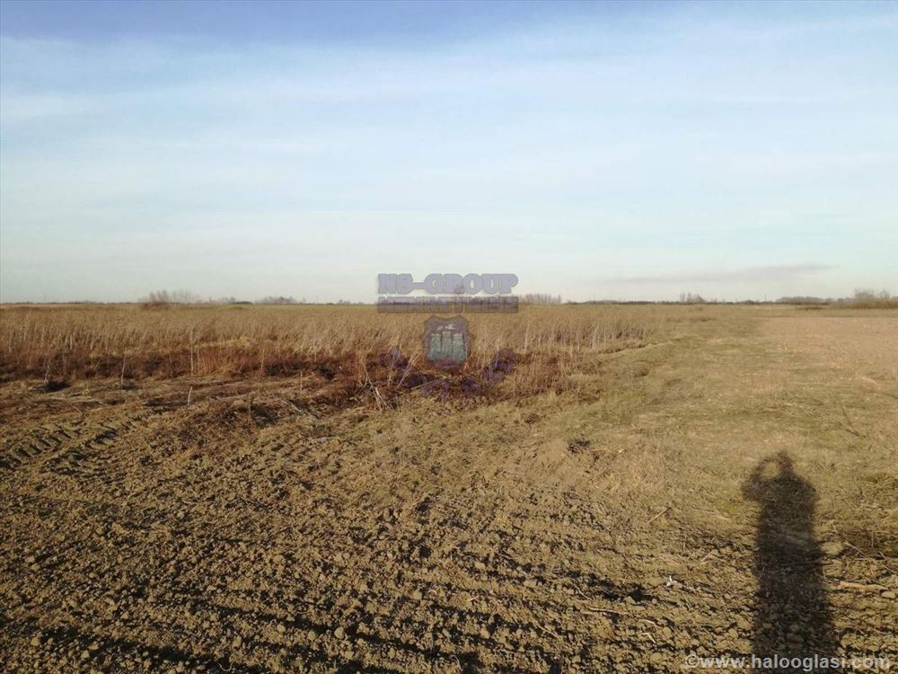 Futog, Izlaz iz Futoga (železnicka stanica), Zemlj | Halo Oglasi