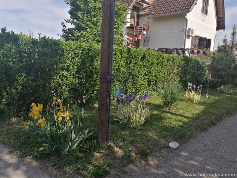 Temerin, Centar, Kuća, 3.0, 118m2 | Halo Oglasi