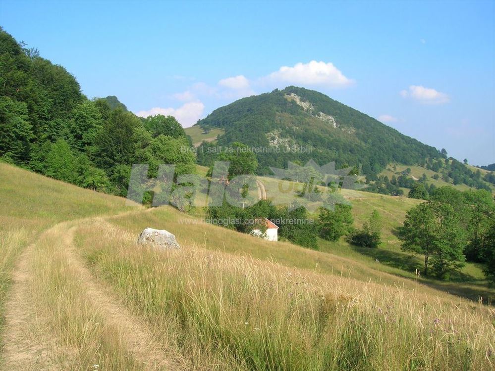 Povlen zemljiste 76 ari,1347 m nadmorska visina | Halo Oglasi