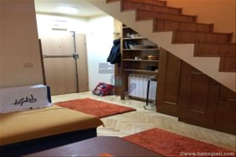 CARA DUŠANA EKSTRA PONUDA | Halo Oglasi