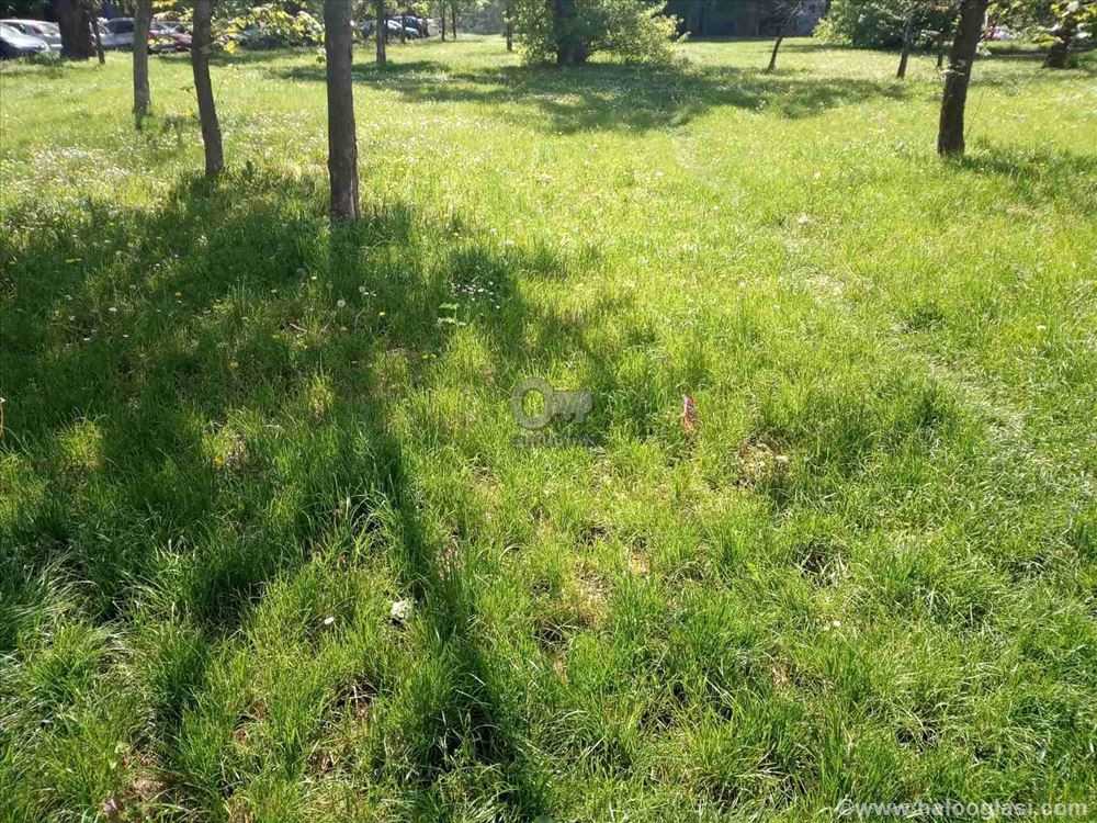 Vrbovno-Šumadijska STEPOJEVAC Lazarevac Beograd... | Halo Oglasi