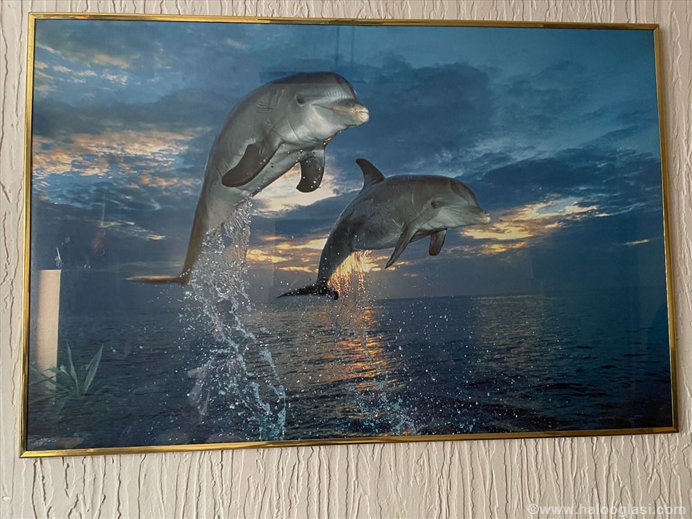 slika delfin zastakljena | Halo Oglasi
