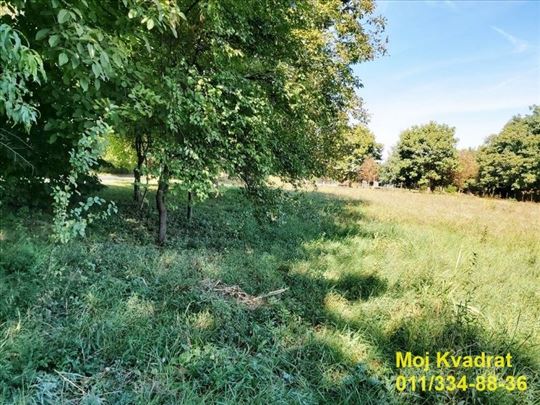 Prodaja zemljišta Batajnica | Halo oglasi