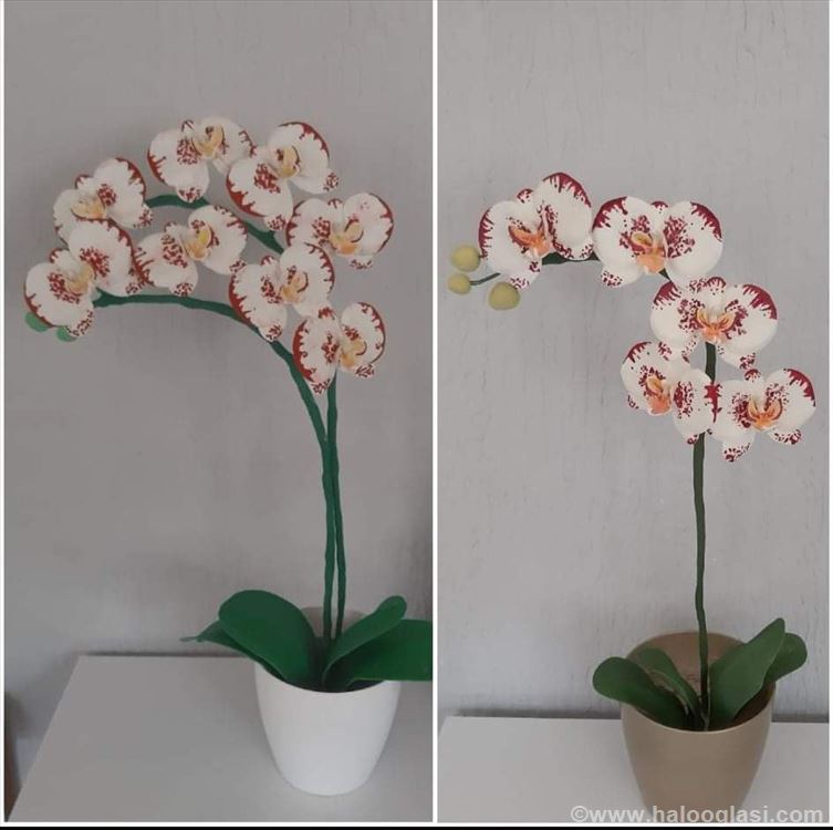 Orhideja veštačka - kao prava | Halo Oglasi