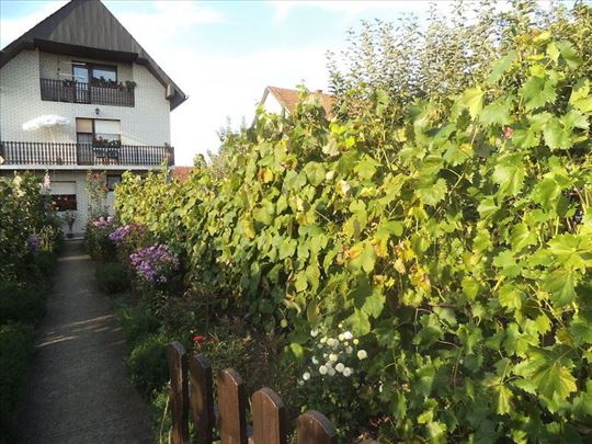 Kuće na prodaju Kragujevac Šumarice | Halo oglasi