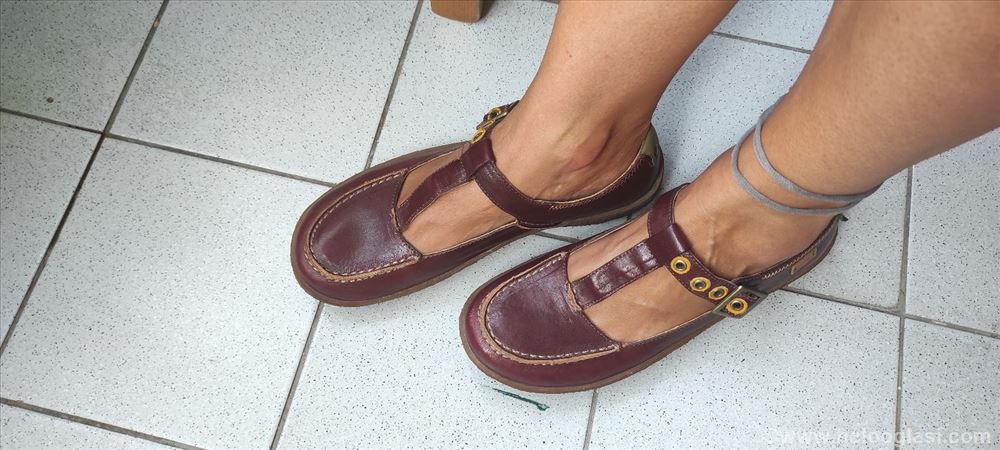 Camper cipele 38-38.5 | Halo Oglasi