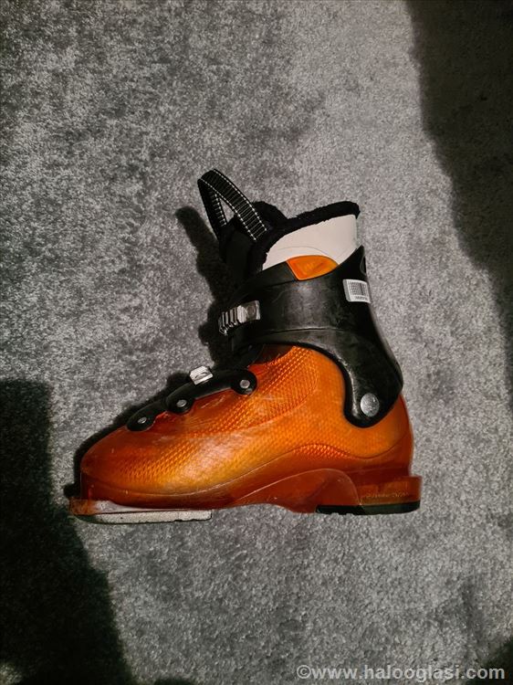 Pancerice | Halo Oglasi