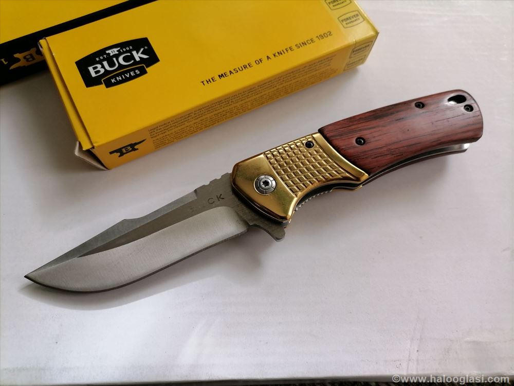 Buck nož na preklop kvalitet 2022 | Halo Oglasi