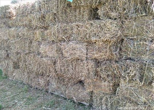 Detelina, seno, slama | Halo oglasi