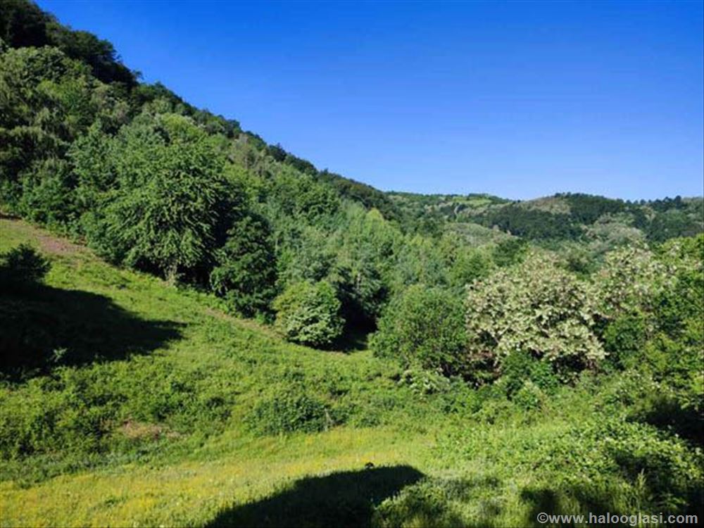 Trudelj Šumadija na dlanu | Halo Oglasi