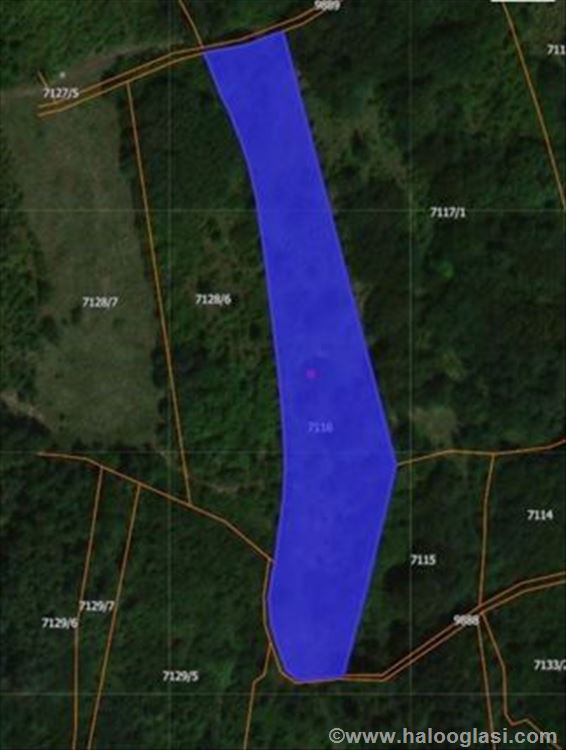 Ripanj | Halo Oglasi