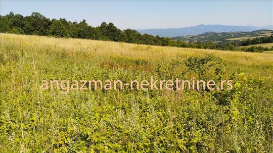 Prodaja zemljišta Boljevac | Halo oglasi