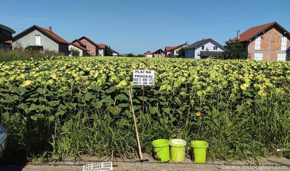 Borča,Mali Zbeg,Plac | Halo Oglasi