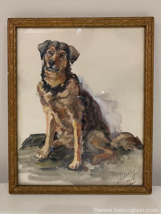 Pas uljana slika (antika) | Halo Oglasi